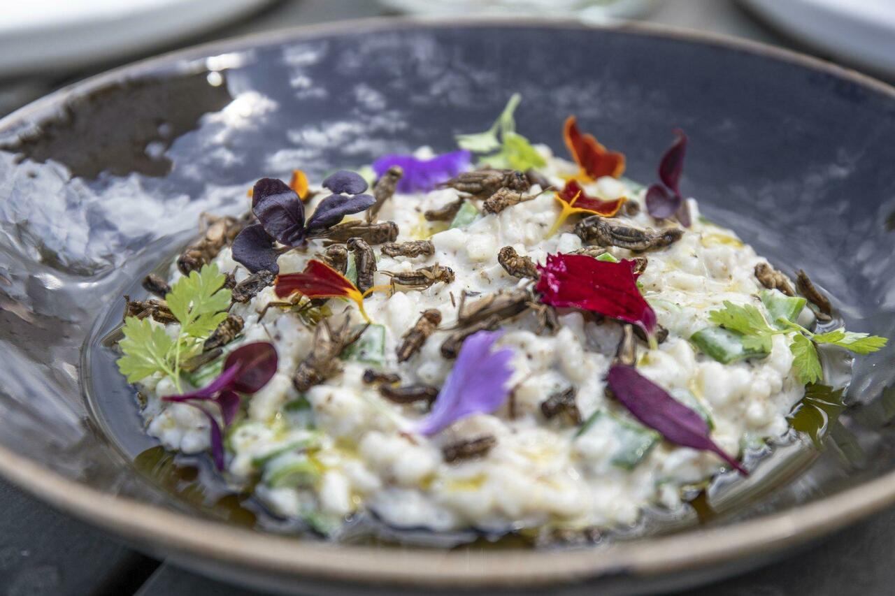 EKSPERIMENT | Restoranis putukaid söömas: see polegi kõige halvem asi ...